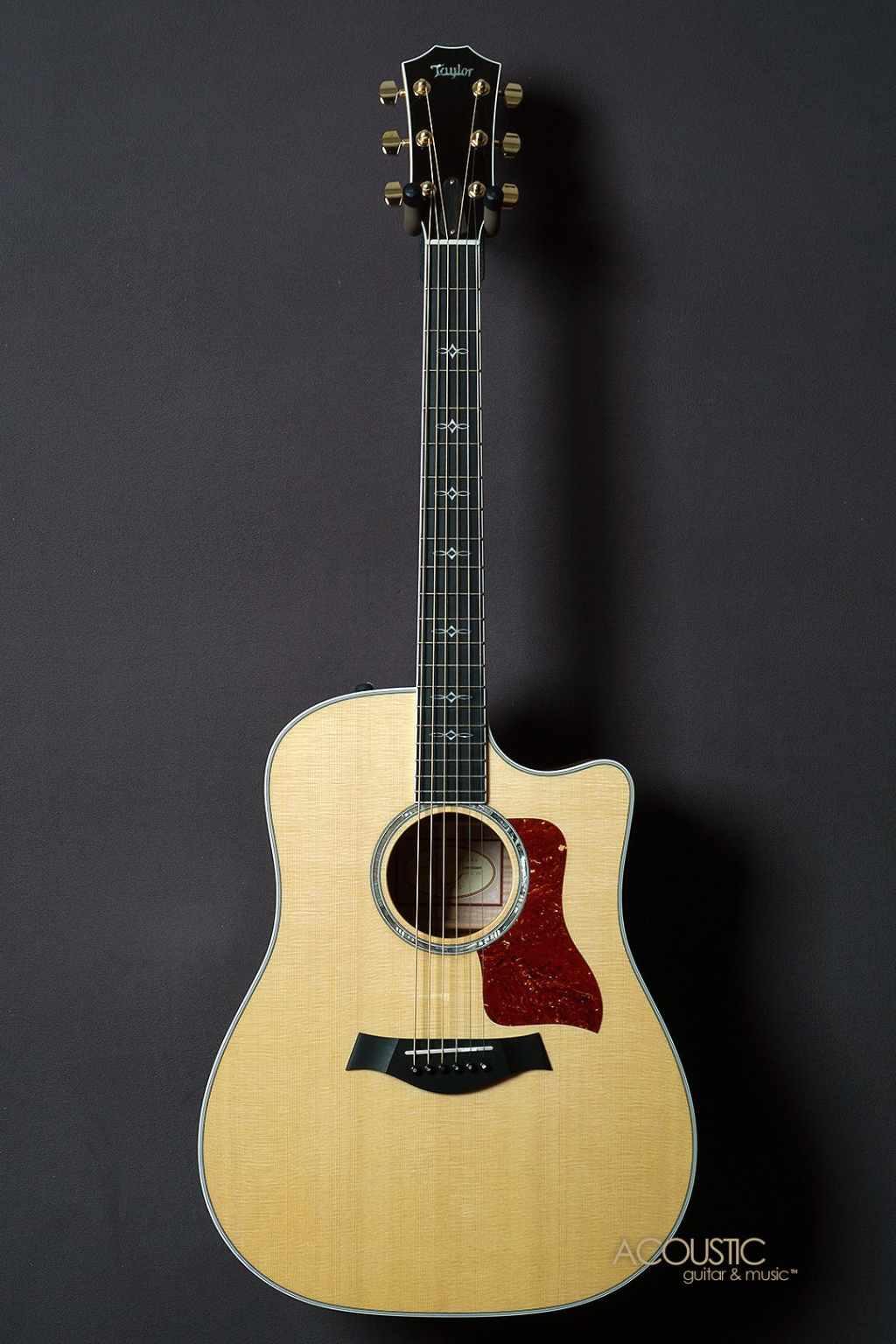 Acoustic Guitar & Music | High End Guitar Boutique